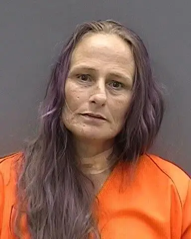 CHERYL SIMS booked for 0.00