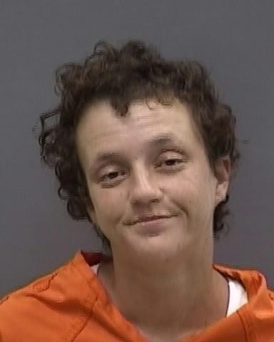 CYNTHIA CONWAY booked for 0.00