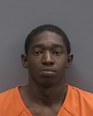 JILES-III WALKER of WESLEY CHAPEL booked for 0.00