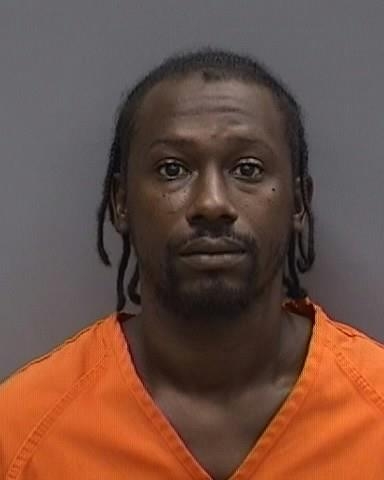 Hillsborough County Who's in Jail - HCSO Arrest Inquiry Search