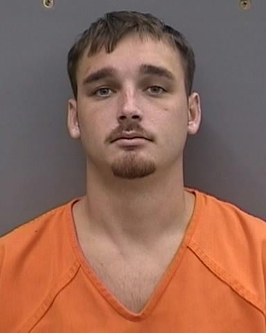 DOMINIC RYAN booked for