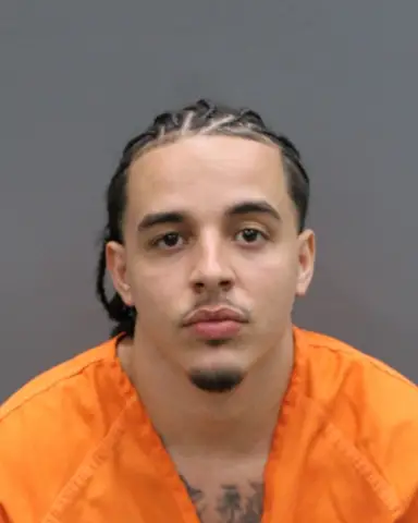 Hillsborough County Who's in Jail - HCSO Arrest Inquiry Search
