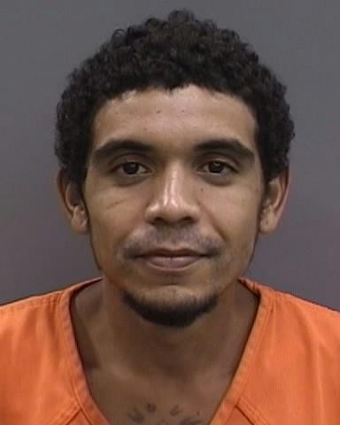 Tampa Bay Mugshots - Hillsborough County Arrests