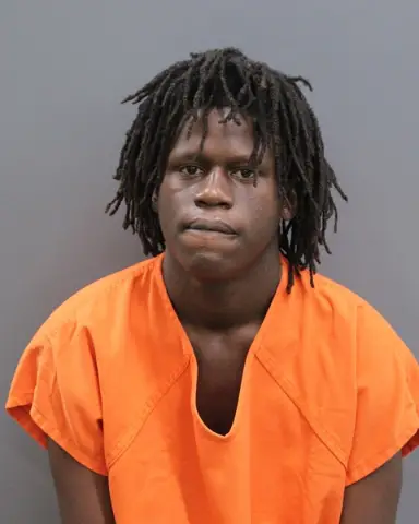 JEROME-JR BRANTLEY booked for 0.00
