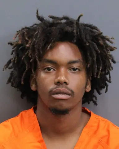 JOHNNY-JR WILLIAMS booked for 0.00