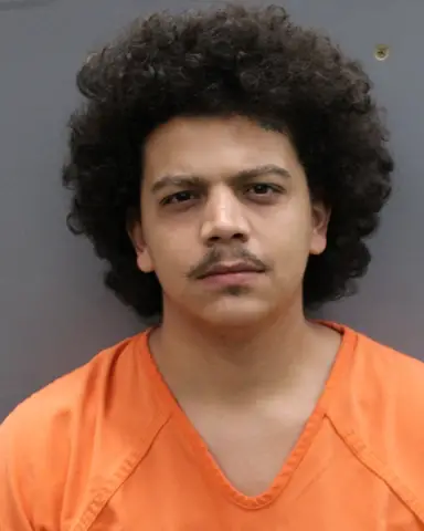 Hillsborough County Who's in Jail - HCSO Arrest Inquiry Search