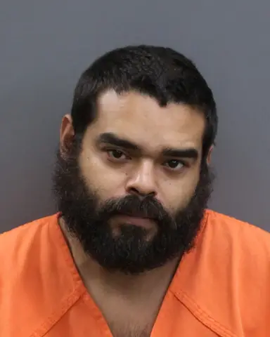 LOUIS-JR REYES booked for 0.00