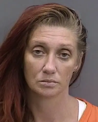 MELISSA KRISTOF-WINGATE booked for 500.00