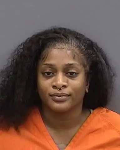 Hillsborough County Who's in Jail - HCSO Arrest Inquiry Search