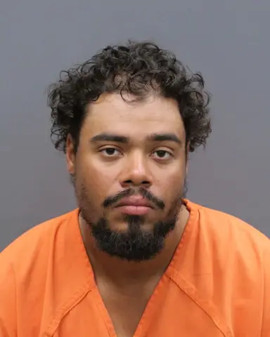 Tampa Bay Mugshots - Hillsborough County Arrests