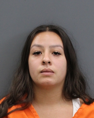 ANDREA ARELLANO booked for 500.00
