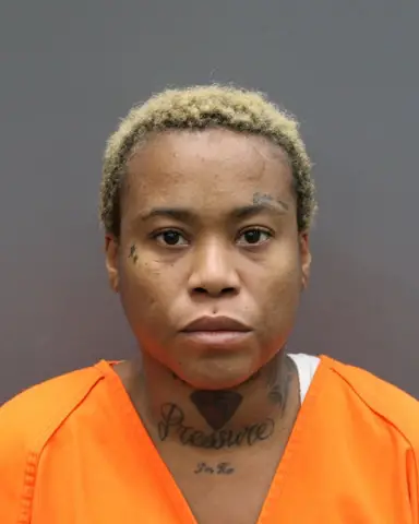 ANDREA JOHNSON booked for 0.00