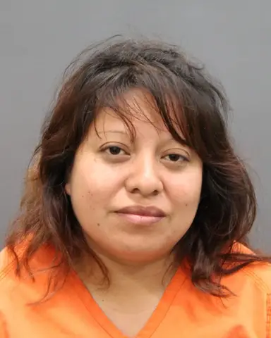 ANGELICA DIAZ-DIAZ booked for 500.00