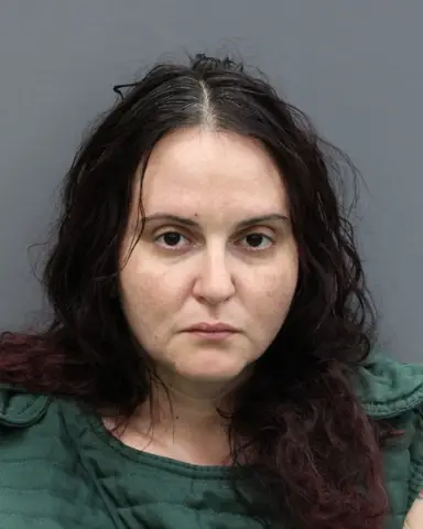 DANIELLE RODRIGUEZ booked for 0.00