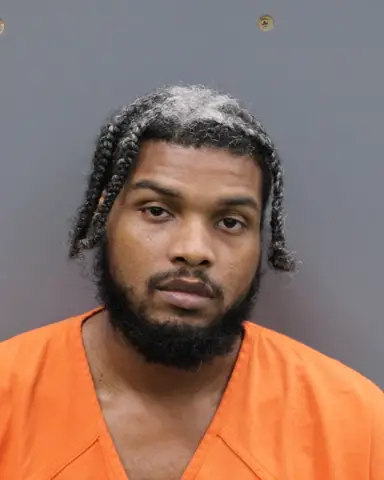 Hillsborough County Who's in Jail - HCSO Arrest Inquiry Search