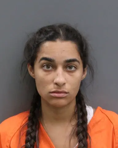 Tampa Bay Mugshots - Hillsborough County Arrests