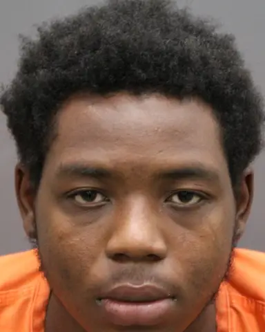 KENNETH-JR BROWN booked for 0.00