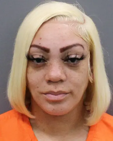 LISA NELSON booked for 0.00