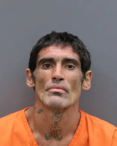 RICHARD-JR SYLVESTER booked for 500.00