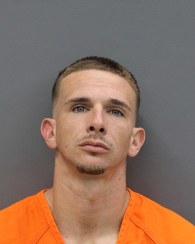 RYAN MILLS booked for 0.00