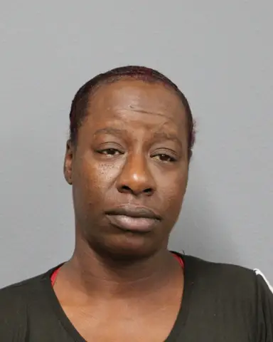 VERONICA ALEXANDER booked for 2,500.00