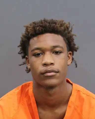 ZION WILLIAMS booked for 0.00