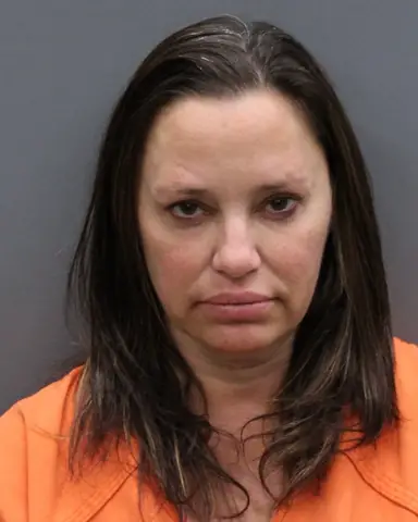 CHRISTINE HANSON booked for 0.00