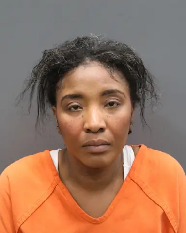 DEANNA LEWIS-CHIN booked for 500.00