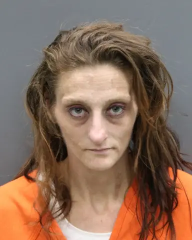 HEATHER SULLIVAN booked for 2,500.00