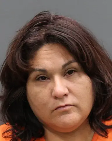 IRMA RODRIGUEZ booked for 0.00