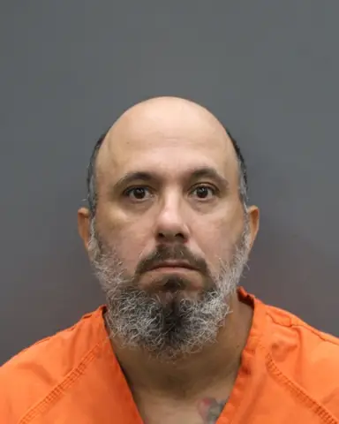 Hillsborough County Who's in Jail - HCSO Arrest Inquiry Search