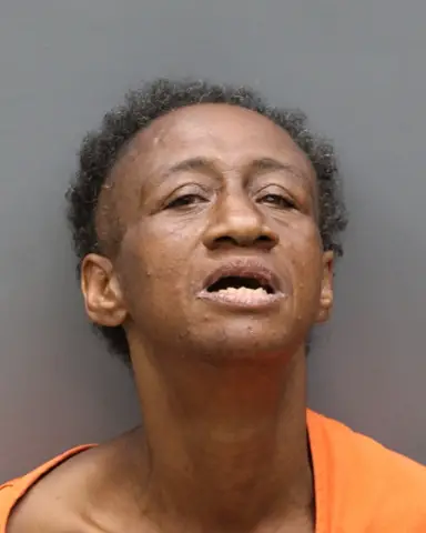 MARY HALBERT booked for 500.00