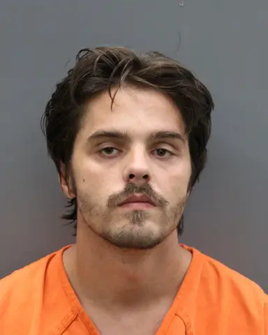 MICHAEL HOFFMAN booked for 0.00