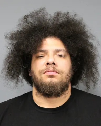PHILLIP-JR BOZEMAN booked for 2,500.00