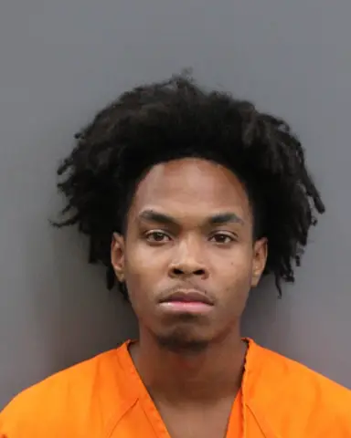 TERRELL COLLINS booked for 500.00