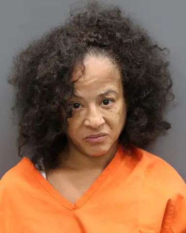 TONI JOHNSON booked for 500.00