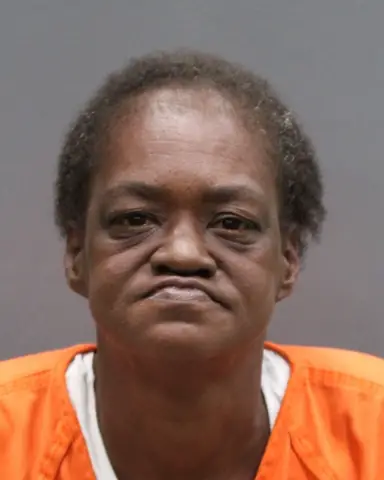 DELORES STEADMAN booked for 0.00