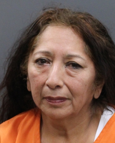 ELIZABETH CASTANEDA booked for 0.00