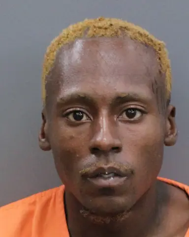 JAY-JR LEWIS-HICKS booked for 0.00