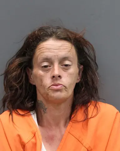 KRISTY SHEPPARD booked for 500.00