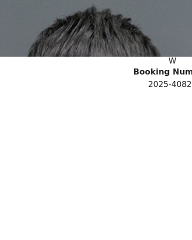MICHAEL ALVAREZ booked for 0.00