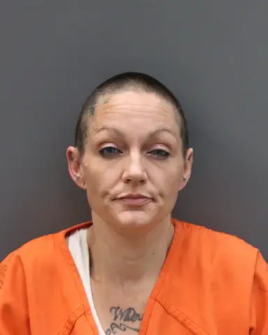 NATALIE HEMMINGER booked for 0.00
