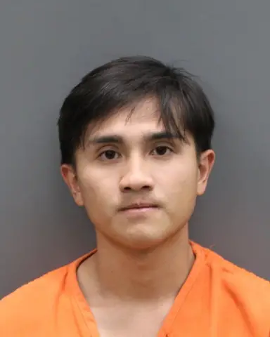 PETER PHAN booked for 500.00