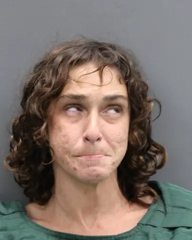 SARAH COPELAND booked for 500.00