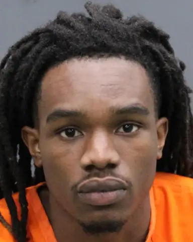 BRUCE BROWN of RUSKIN booked for 0.00