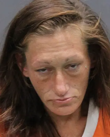 JENNIFER JORDAN booked for 2,500.00