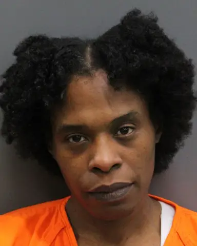 MICHELLE HAWKINS booked for 0.00