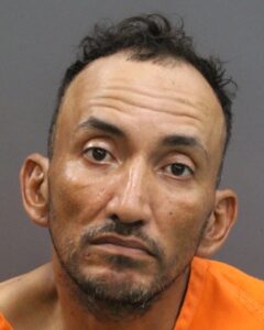 RAFAEL PAGANBOCACHICA of TAMPA booked for 500.00