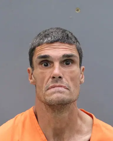 RICHARD-JR WILSON booked for 0.00