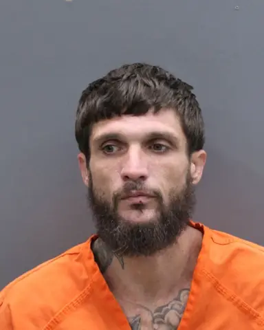 WILLIAM MCGEE booked for 0.00